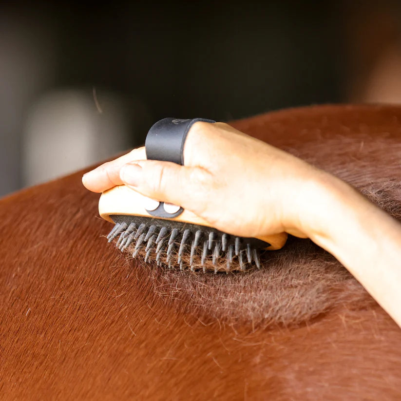 GeeGee COLLECTIVE Swift Curry Comb – Mighty Farm Equine